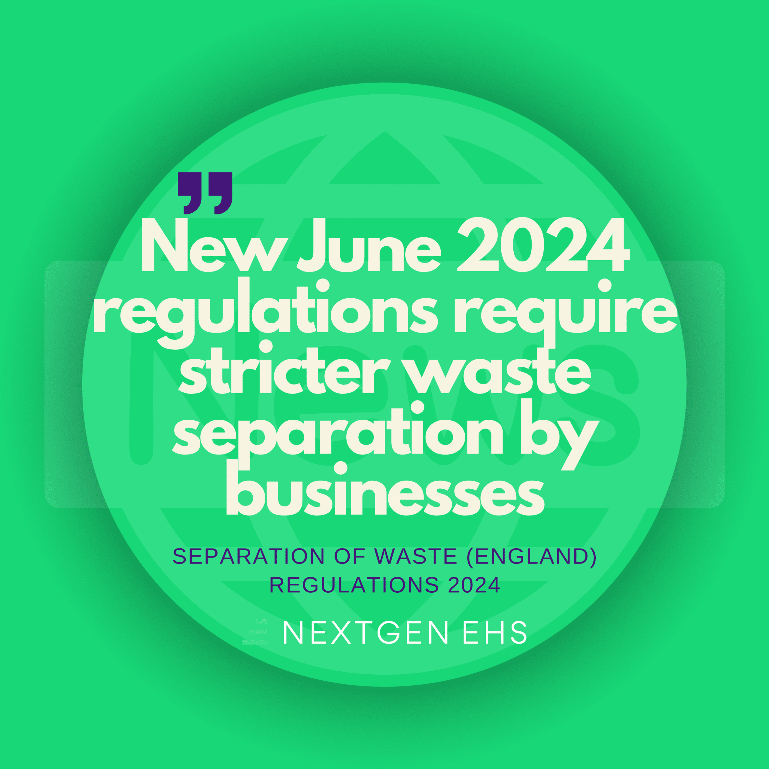 Waste Separation: What Businesses Need to Know in 2024